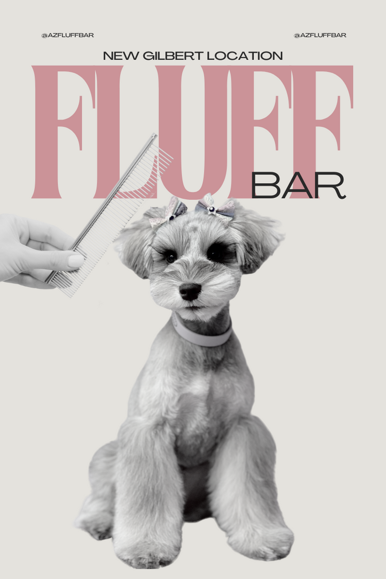 Fluff Bar Virtual